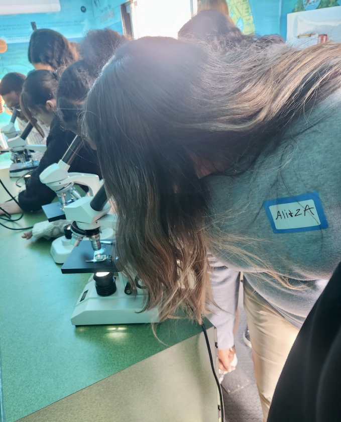 Refuge provides update on WoW - SANIBEL-CAPTIVA - Island Reporter ...